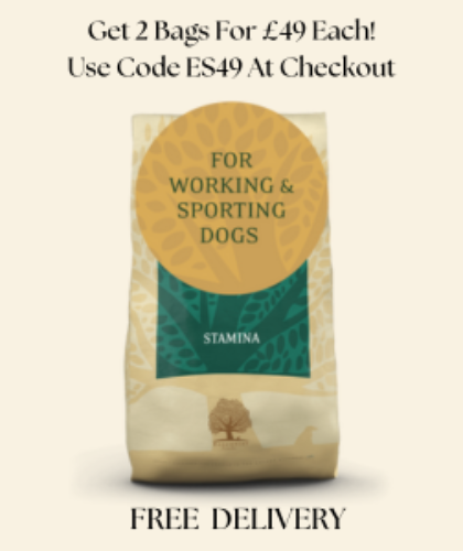 Essential Foods Stamina Working Dog 10kg